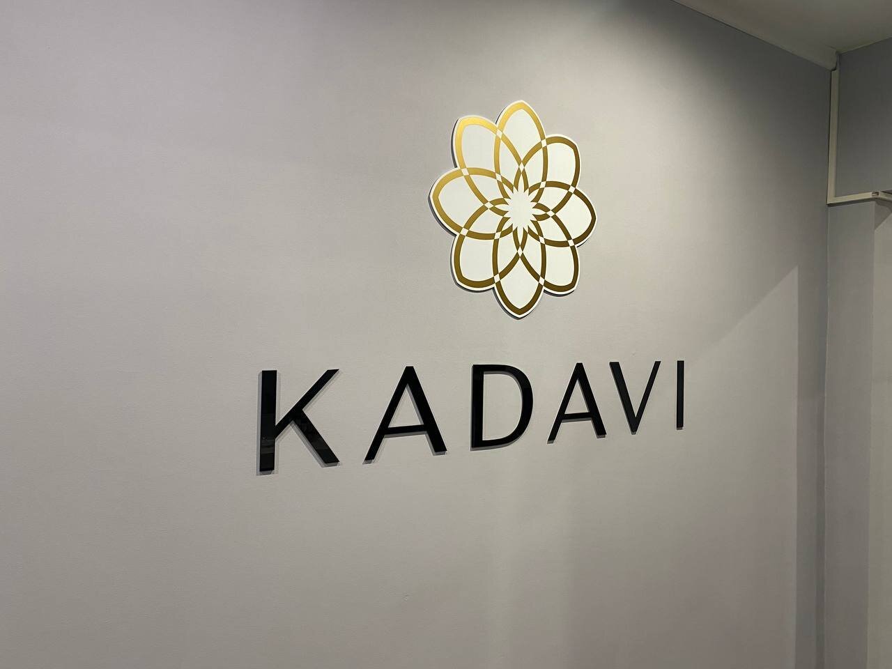 Kadavi beauty studio, салон красоты в Больничном проезде, 1, Химки 📍 ...