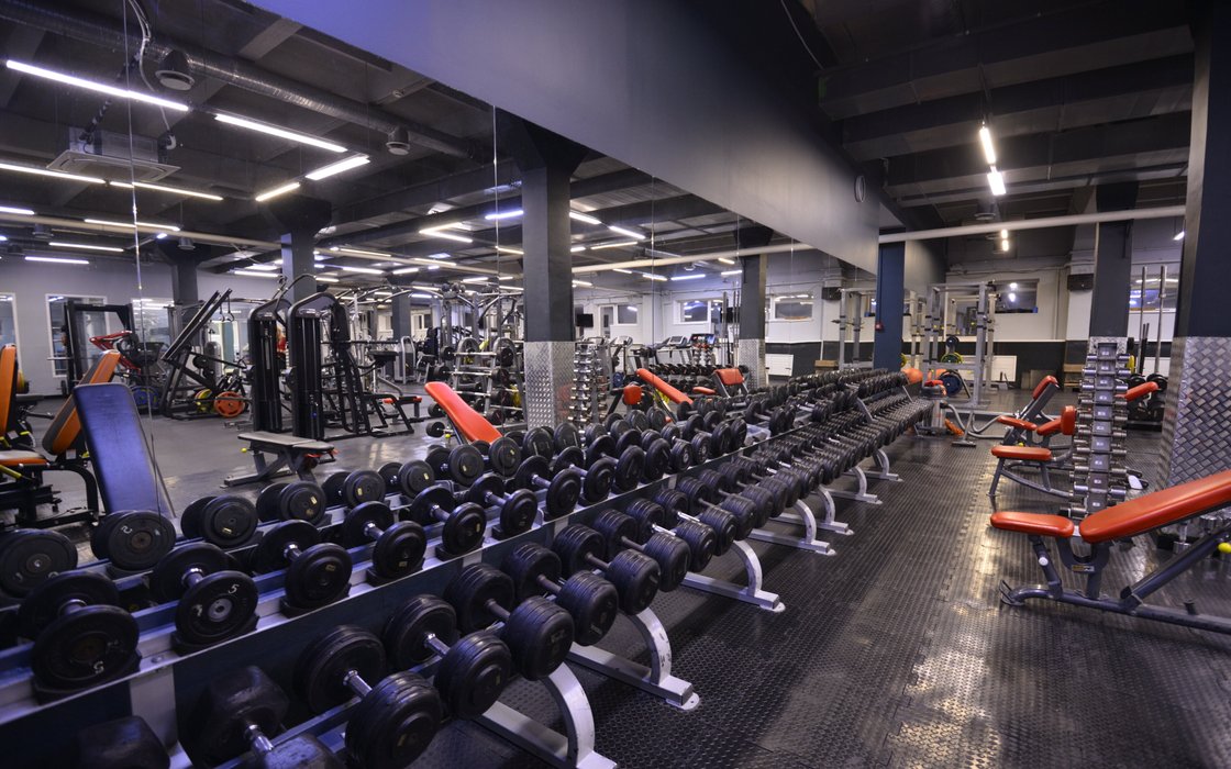 Ai Fitness 16 Zoon.ru